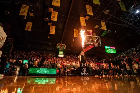 Colorado State University