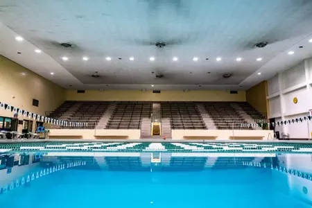 Colorado State University