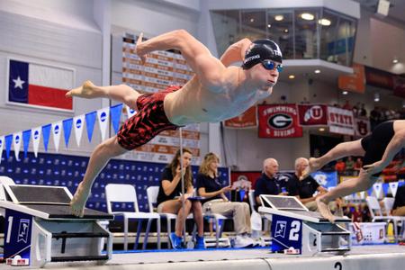Zach Harting - Swimming & Diving - University of Louisville Athletic