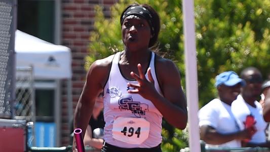 Stephen F Austin University