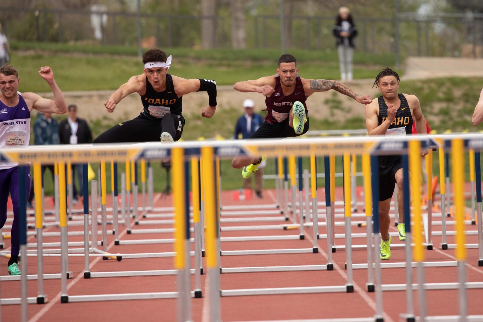 Griz track and field opens outdoor season in Sacramento - University of ...