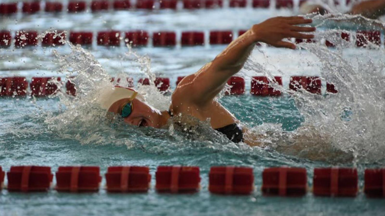 University of Utah Athletics