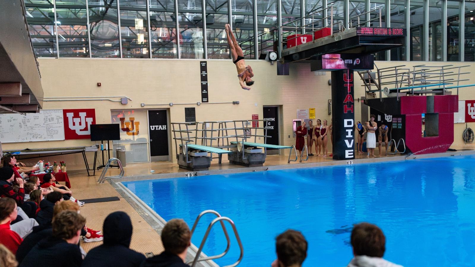 Utah Dive’s Petersen Shatters Pool and Program Record - University of ...