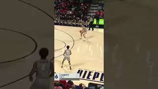 Liberty University Flames