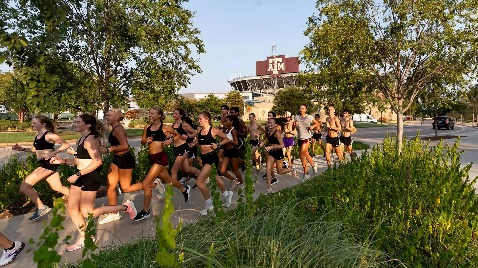 Texas A&M Athletics