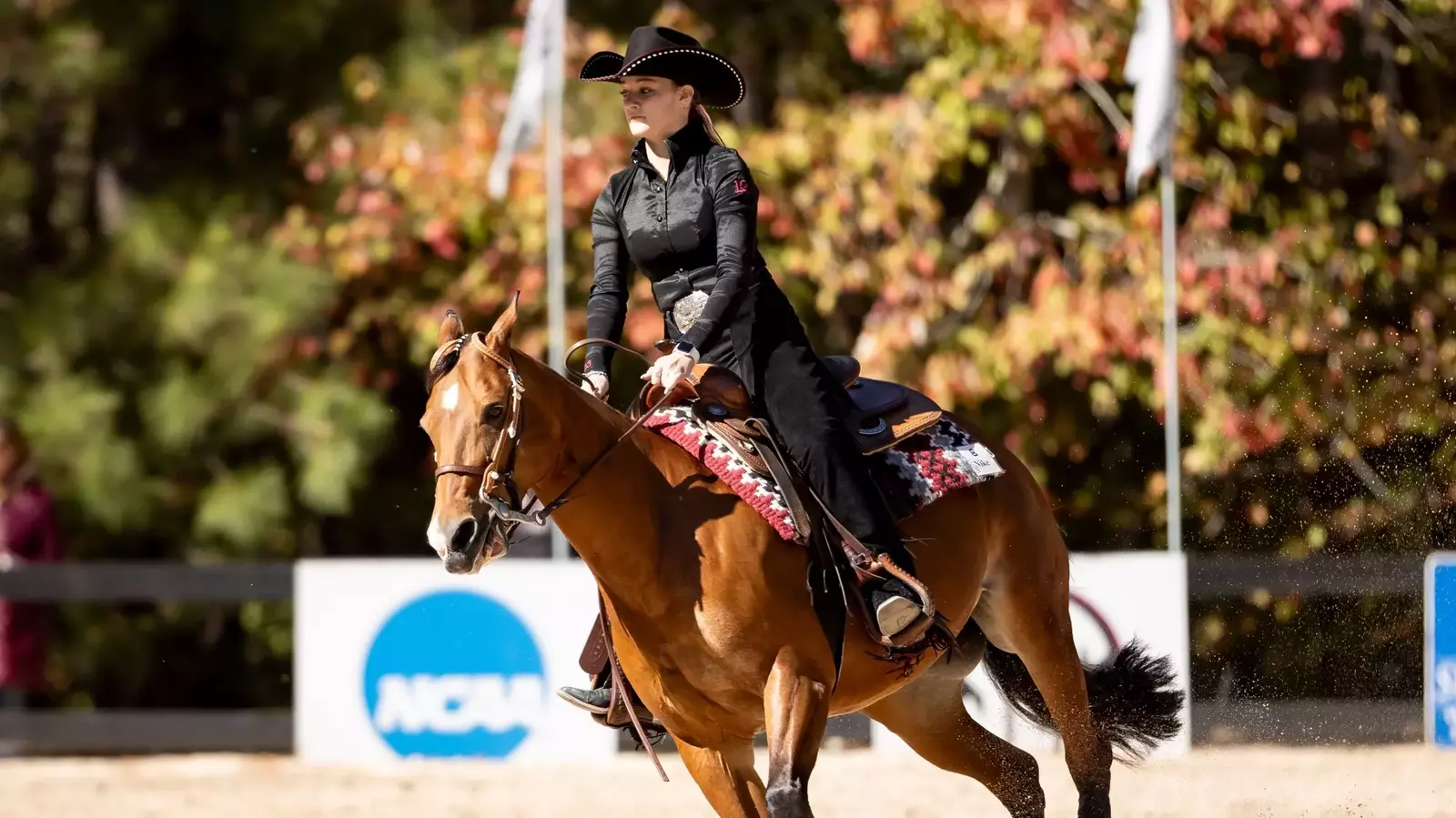 Texas A&M Athletics