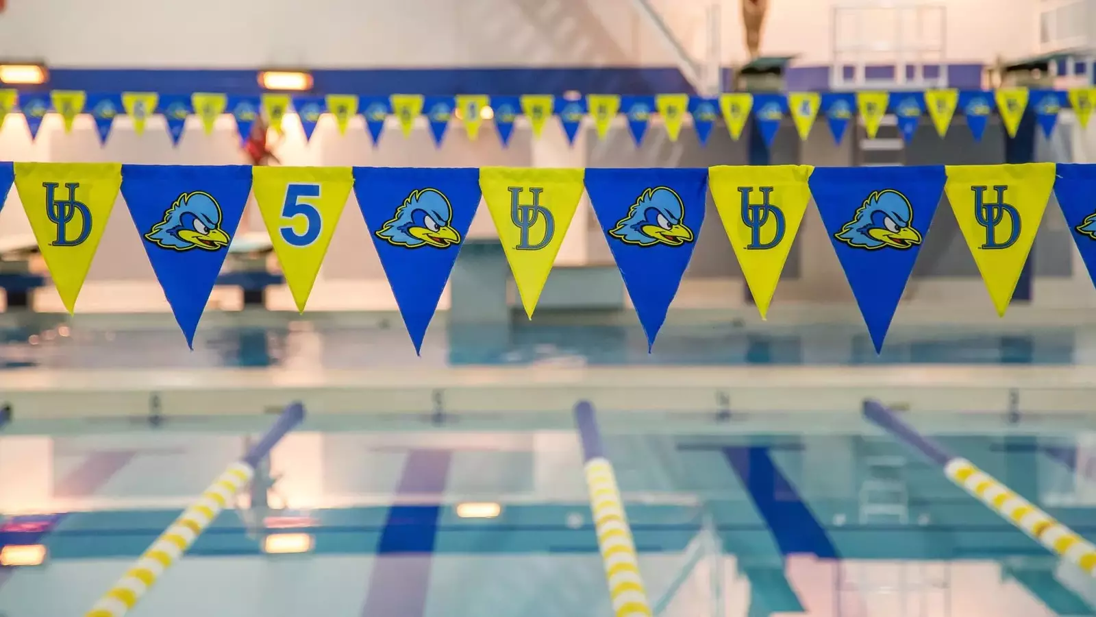 Blue Hens Swimming & Diving Recognized on Scholar All-America Team ...
