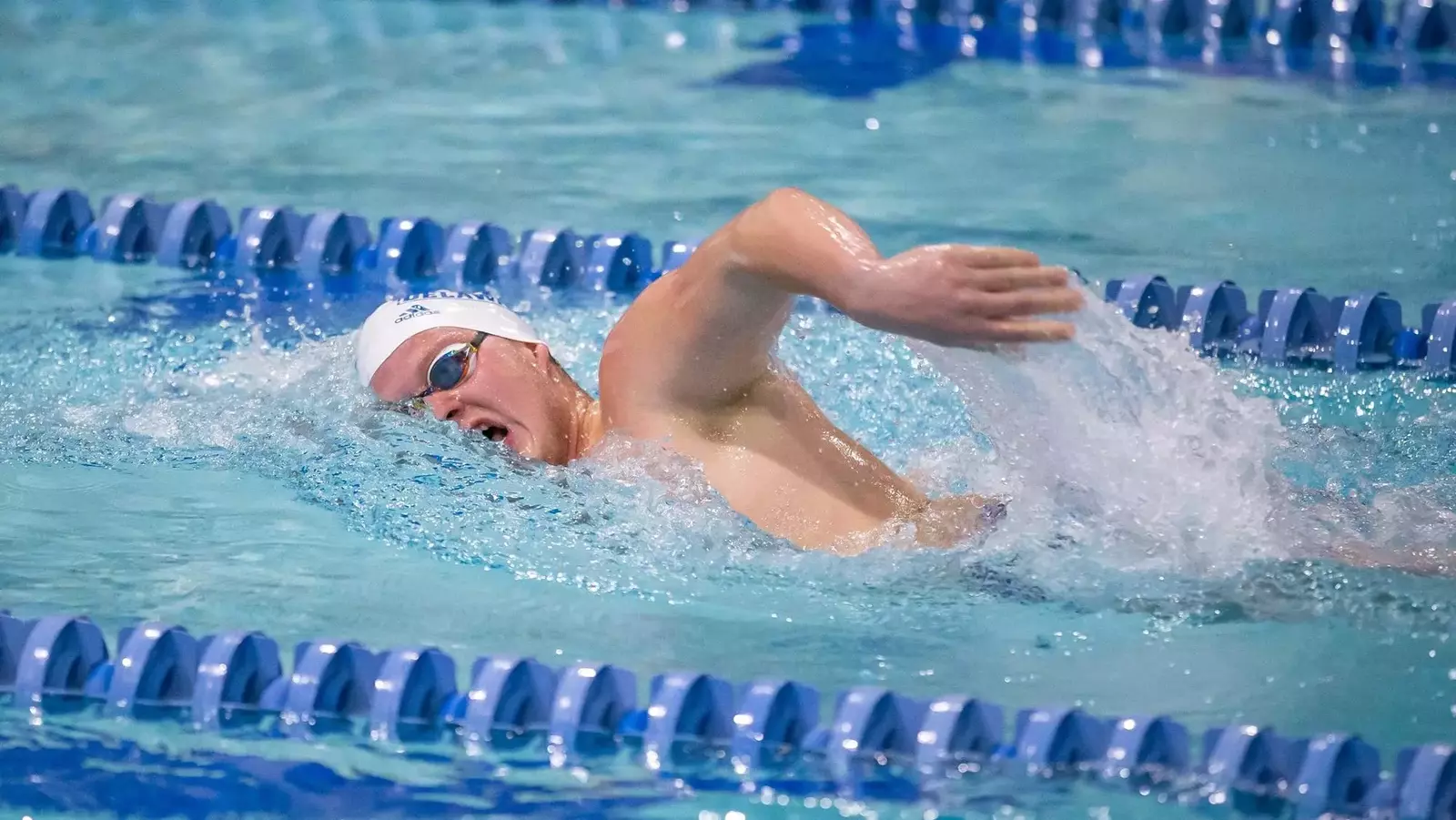 Men's Swimming and Diving Falls at Towson - University of Delaware ...