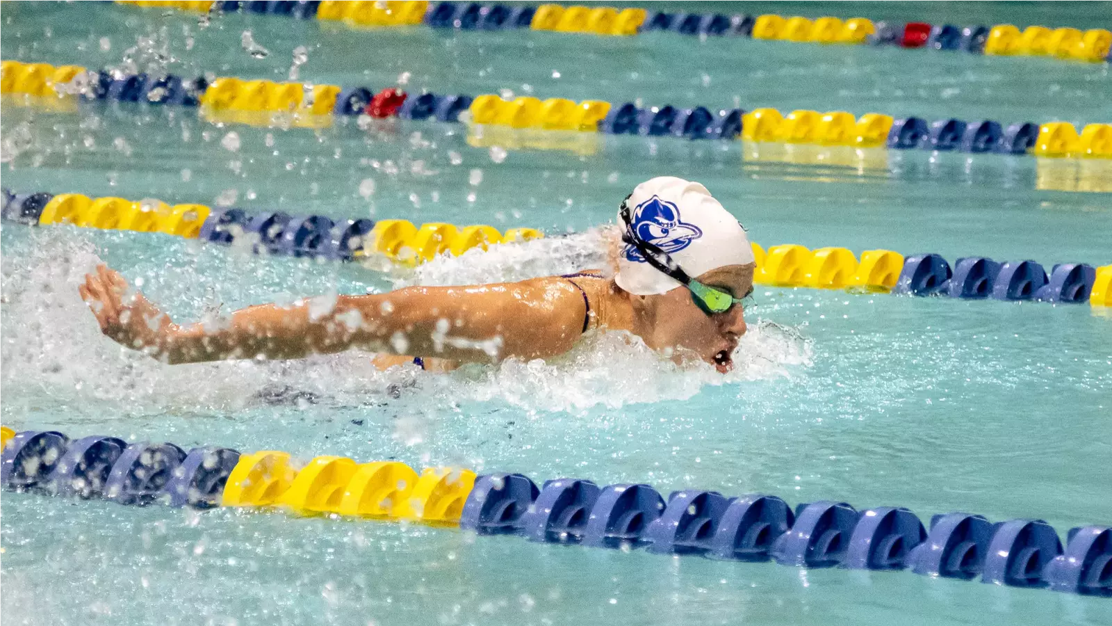 Women's Swimming And Diving Climbs To Third Place During Day Two Of ...
