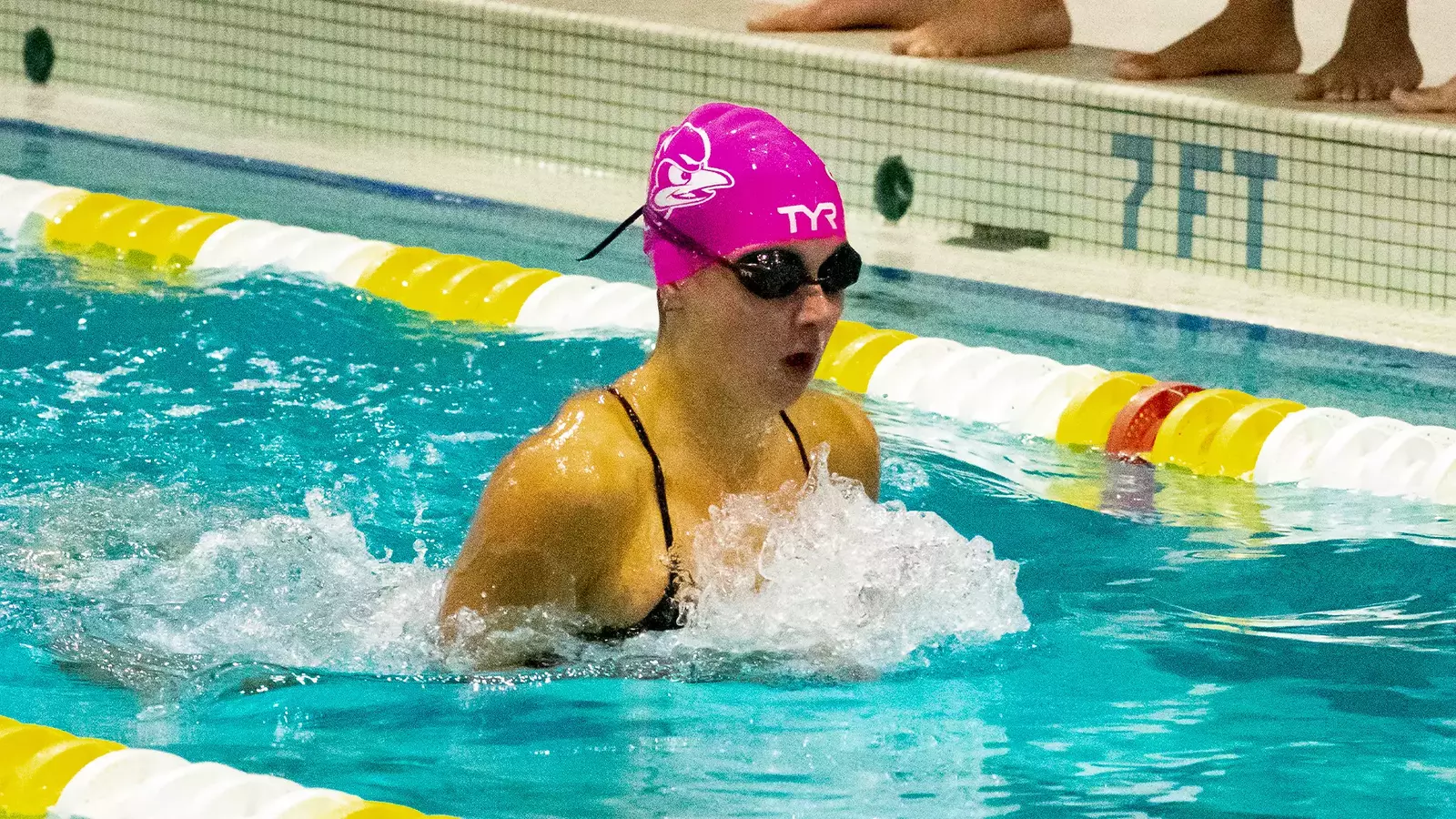 Women's Swimming and Diving Preview: William & Mary, James Madison ...