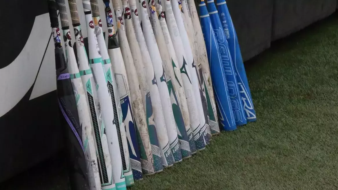 Softball Adds Six on National Signing Day - University of Delaware ...