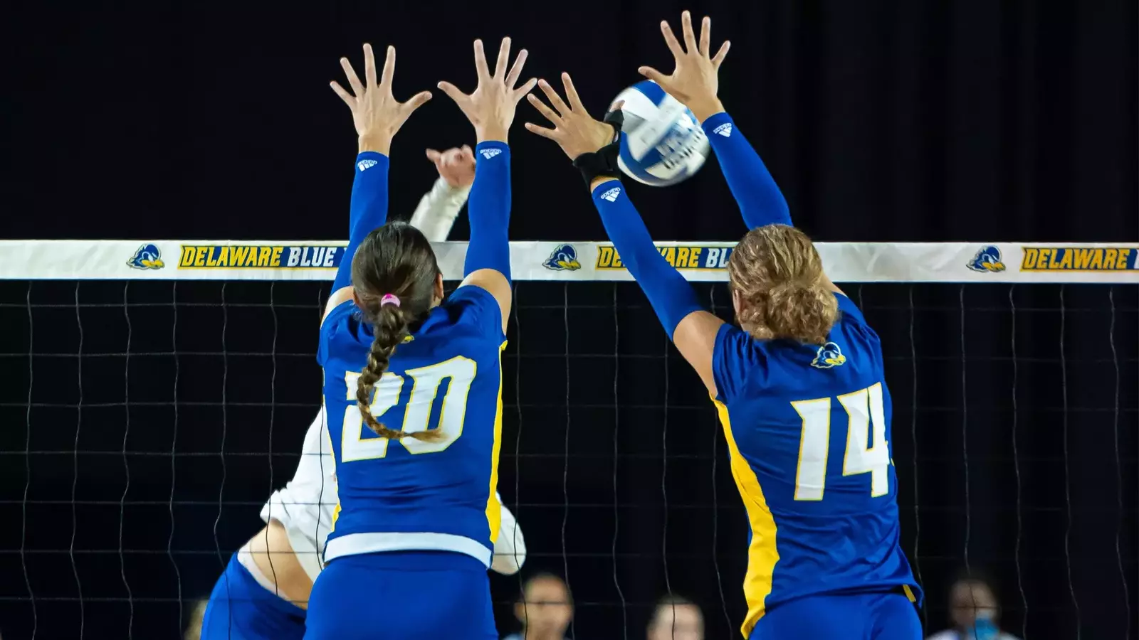 Volleyball heads To UNCW - University of Delaware Athletics