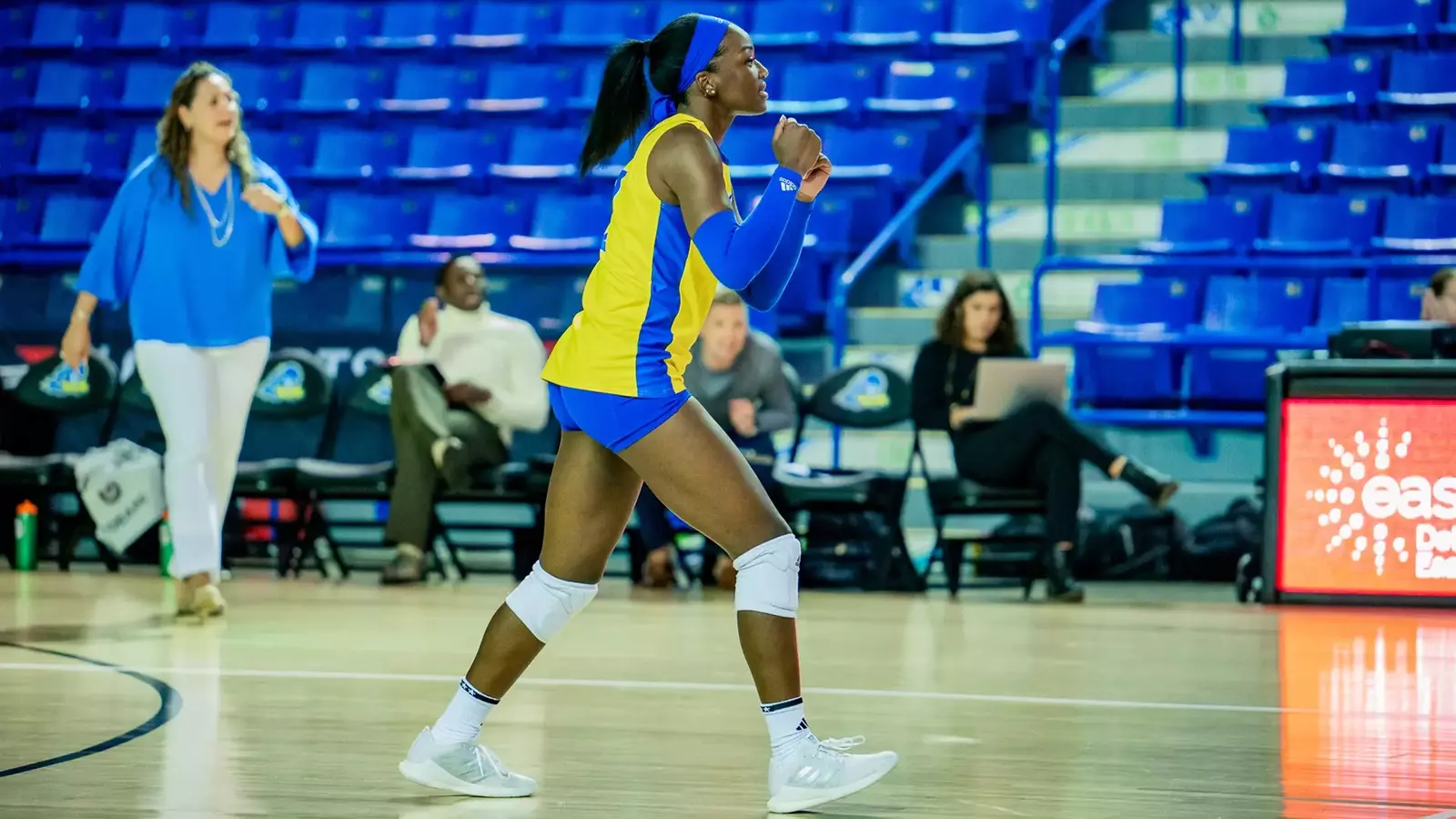 Volleyball Completes Weekend Sweep Of Northeastern - University of ...