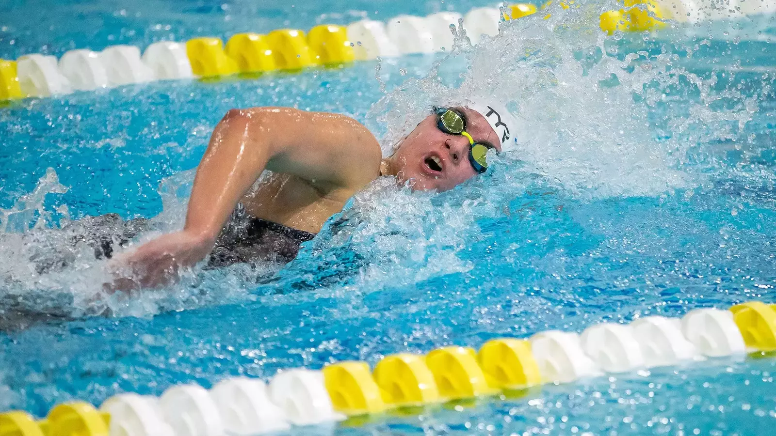 Women's Swimming & Diving Preview: CAA Championships - University of ...