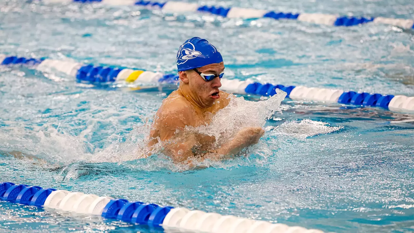 Men's Swimming & Diving Earns Three Medels And Sets Three Program ...