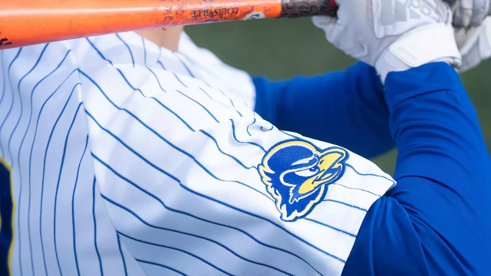 Three Former Baseball Athletes to be Inducted Into Delaware Baseball ...
