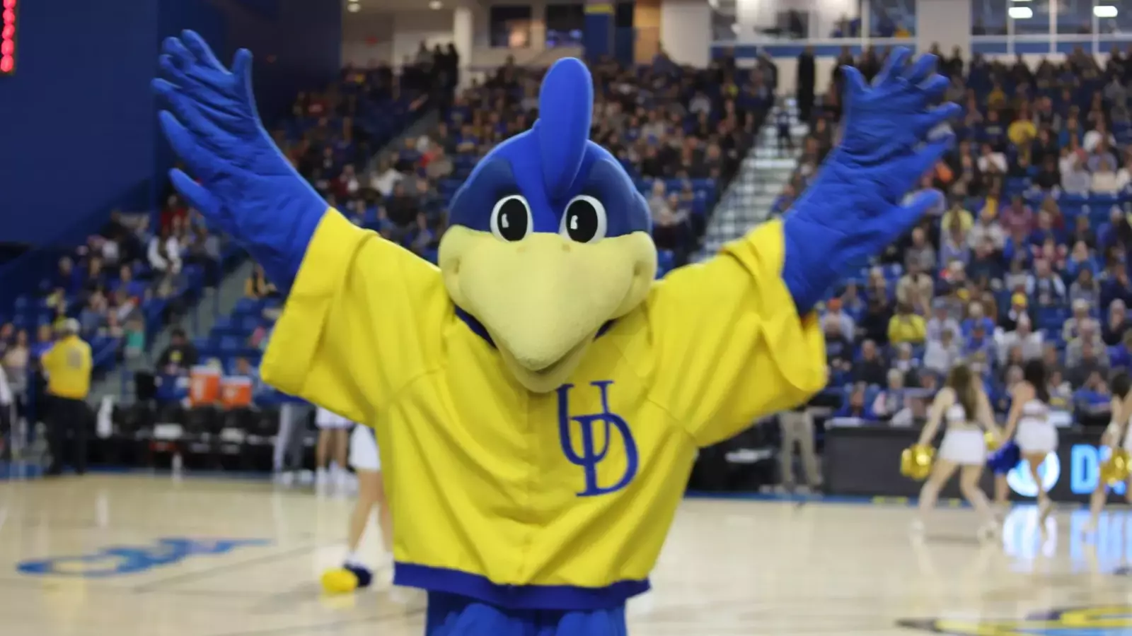 Delaware Athletics, Community, and Campus Recreation Post Record Totals ...