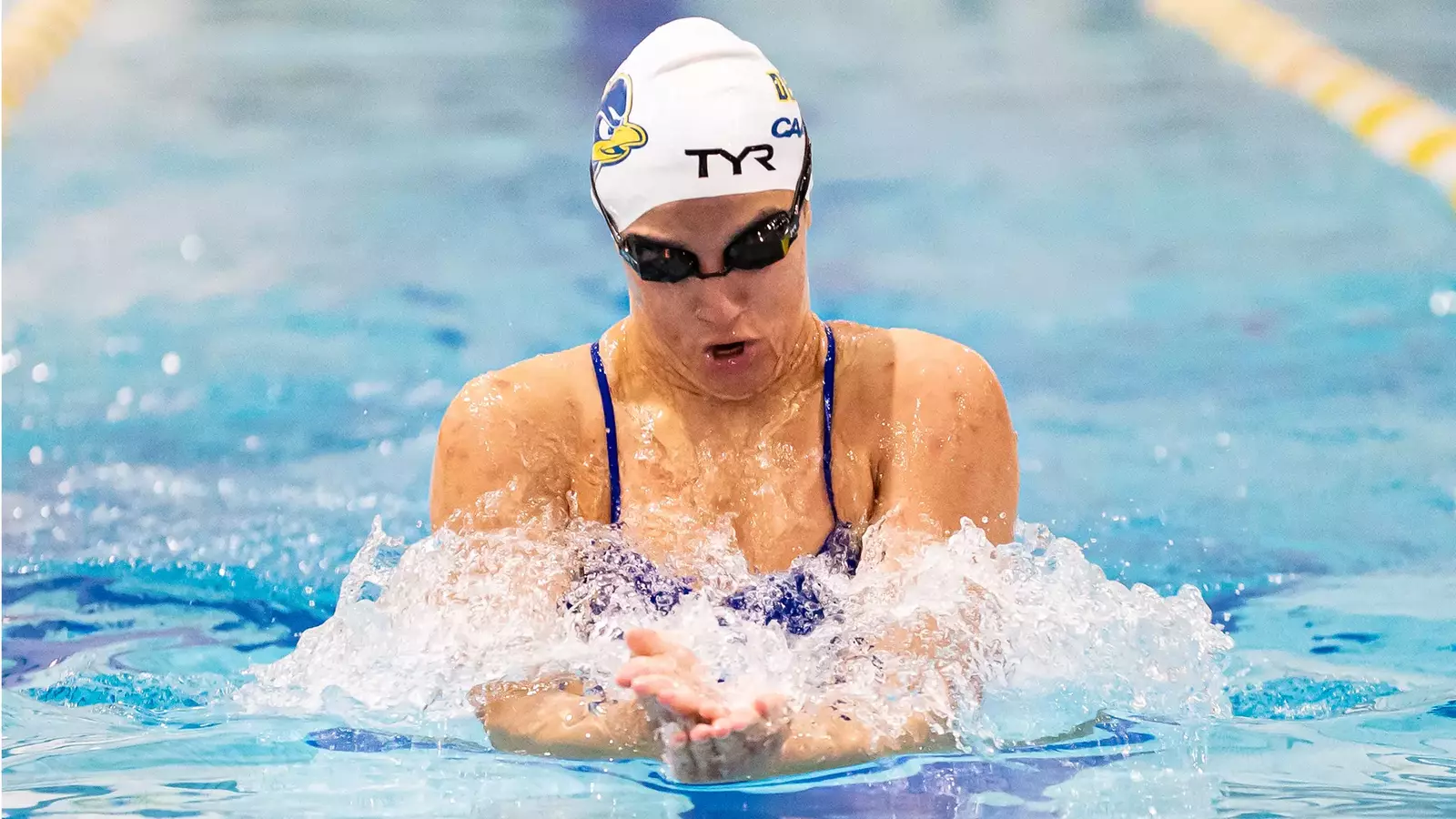 Women's Swimming & Diving Cruise to Dual Meet Victory over Seton Hall ...
