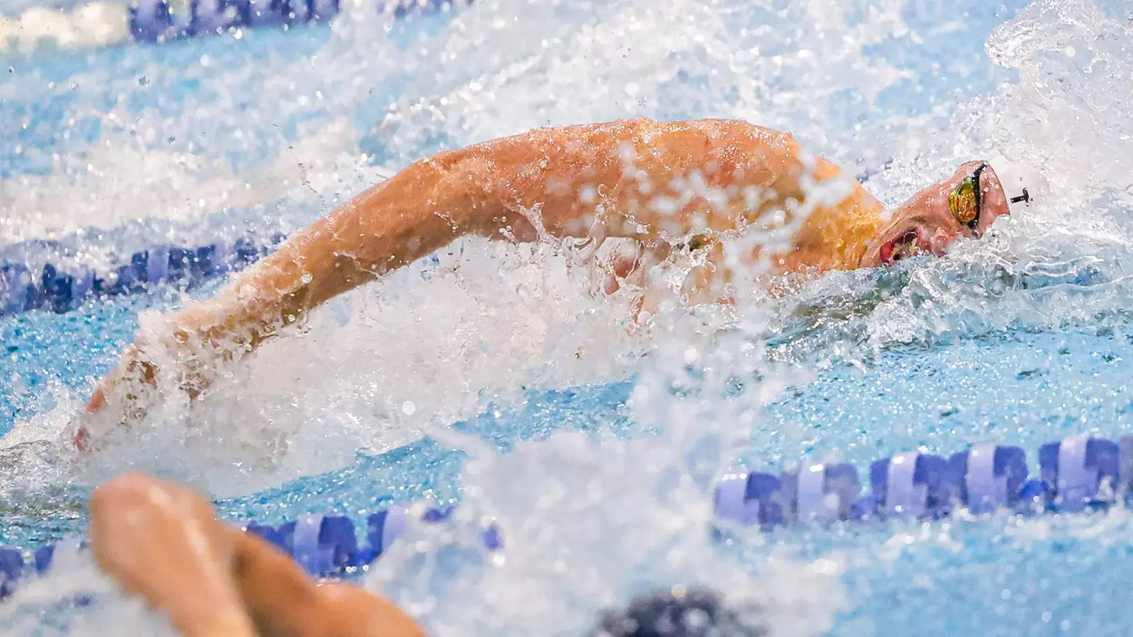 Namakonov Breaks 50 Freestyle Record on Day One of Bucknell ...