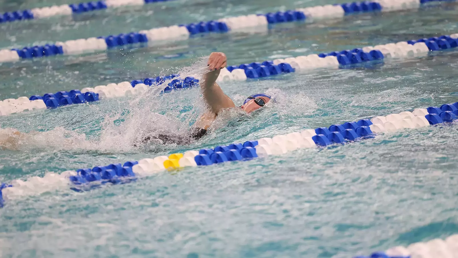 Women's Swimming & Diving 800 Freestyle Relay Takes First On Day One of ...