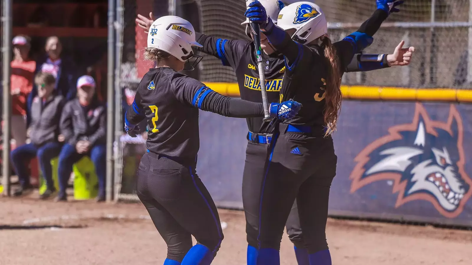 Softball Sweeps Stony Brook, Wins 10th Game In A Row - University of ...