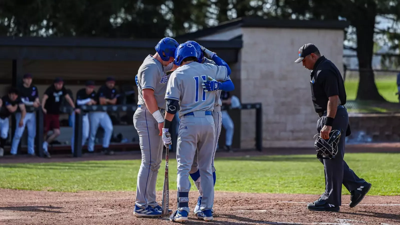 Baseball Defeats Towson In Game One of Weekend Series - University of ...