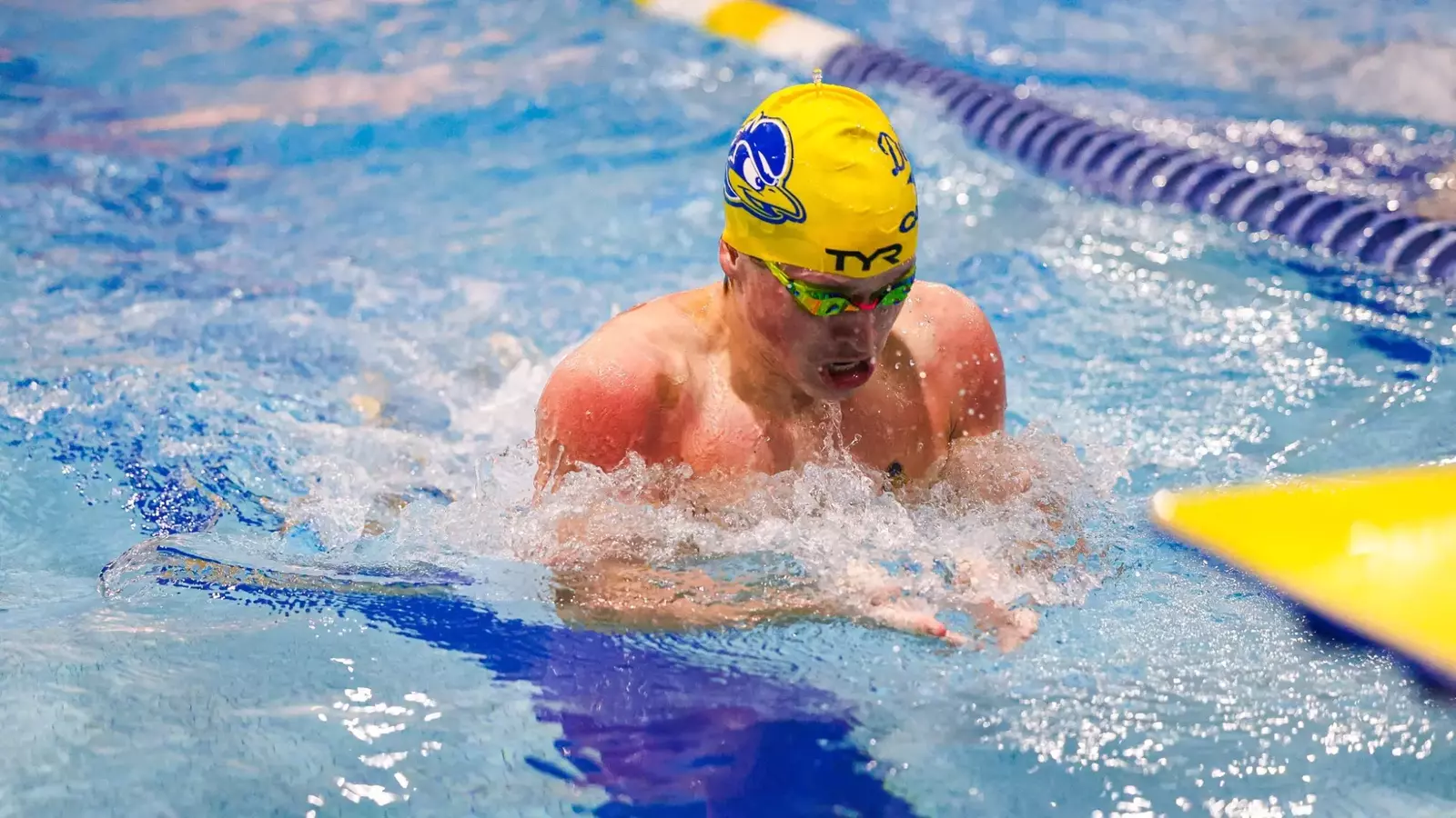 Men's Swimming & Diving Defeats Seton Hall on Senior Day - University ...