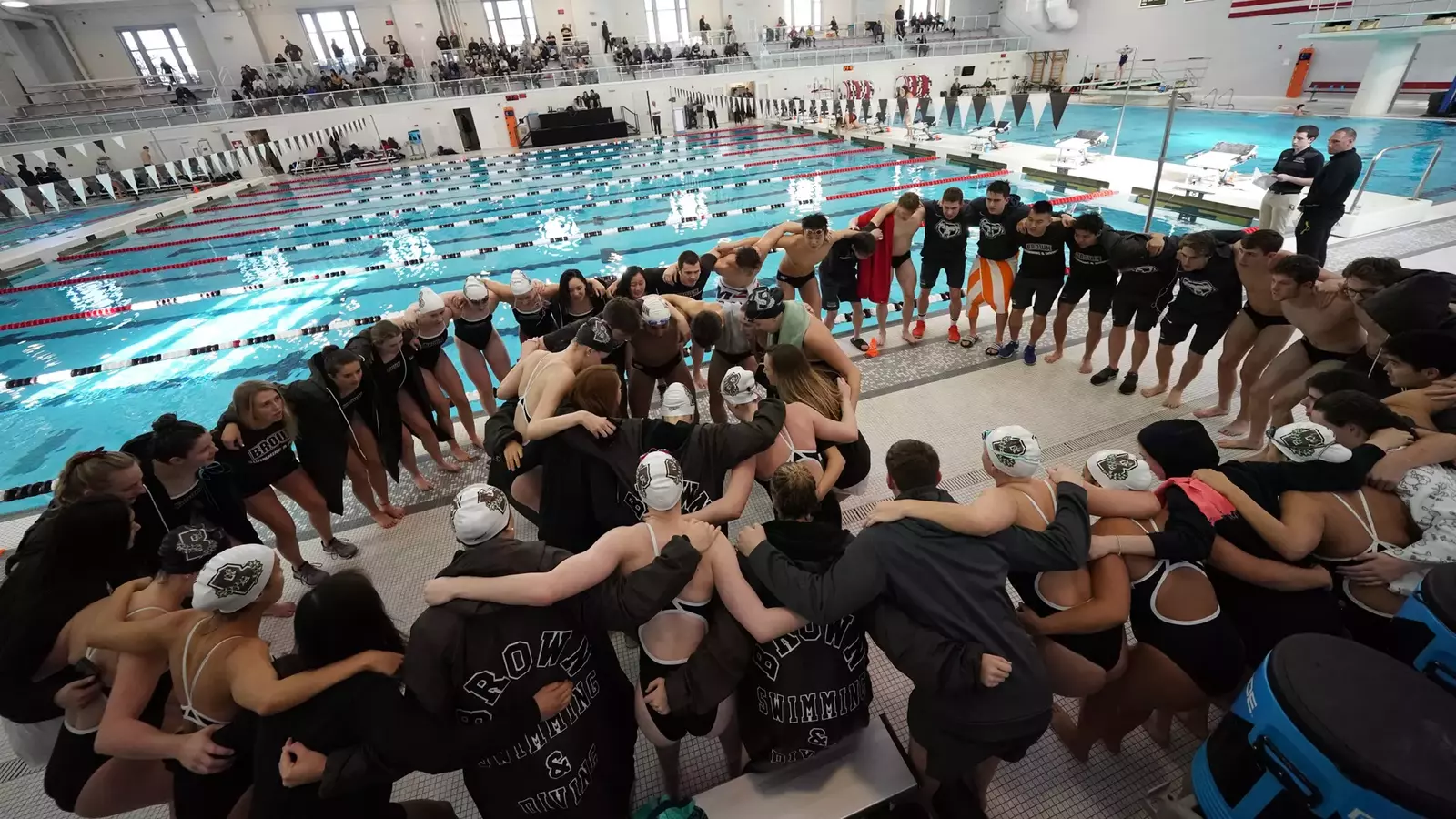 Swimming & Diving Programs Achieve Scholar All-America Team Accolades ...