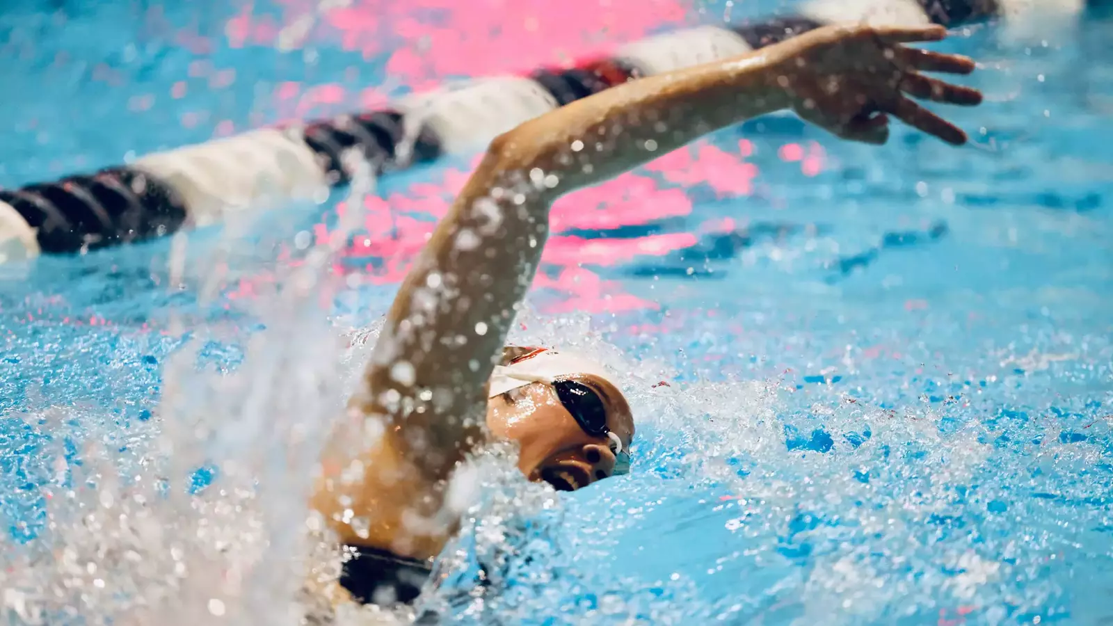 Women's swimming and diving hosts Harvard and Penn over weekend - Brown ...