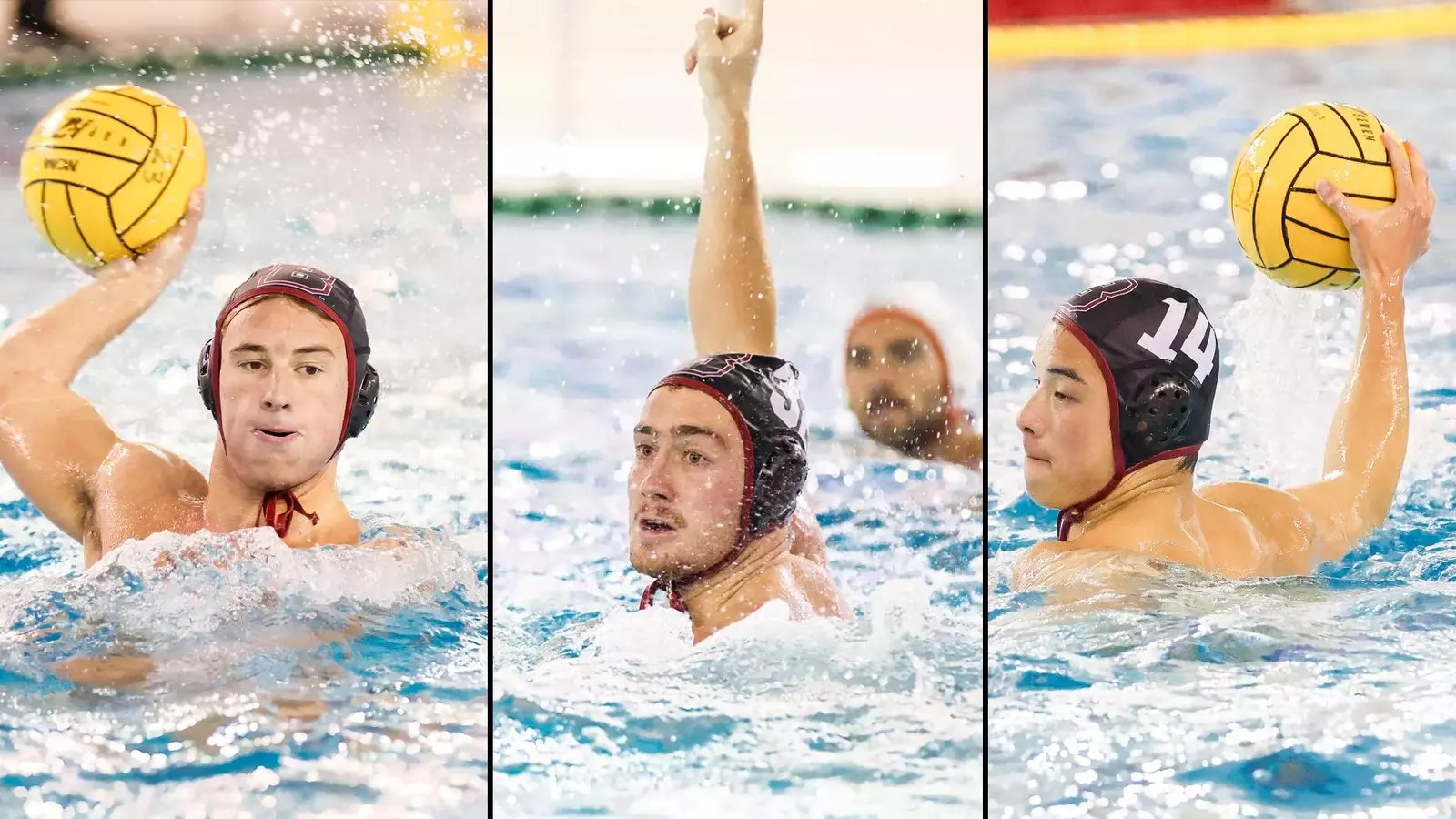 Tierney Named NWPC Rookie of the Year; Three Bears Named All-Conference ...