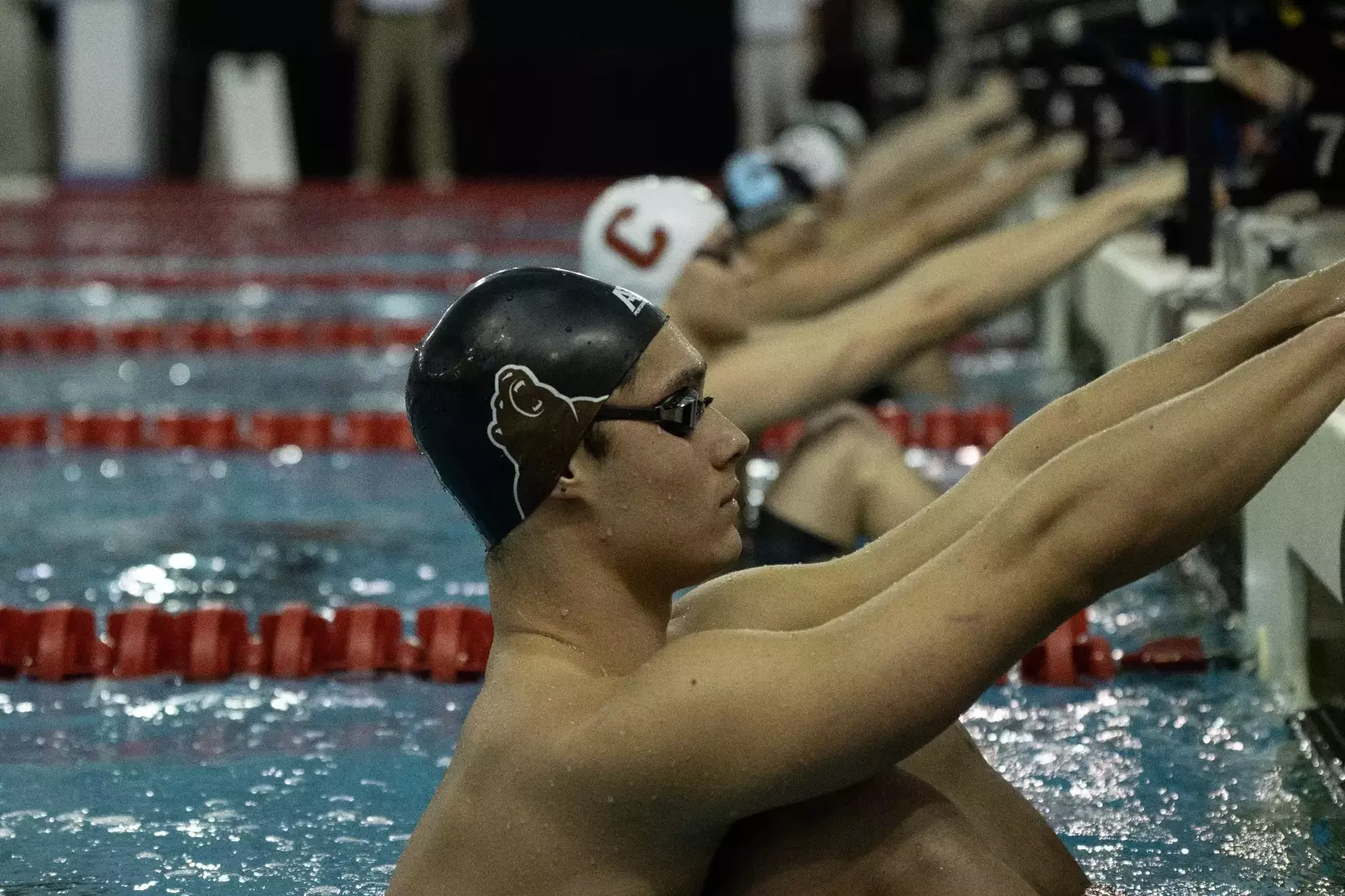 Men's Swimming and Diving Sets Three Program Records on Day Three of ...