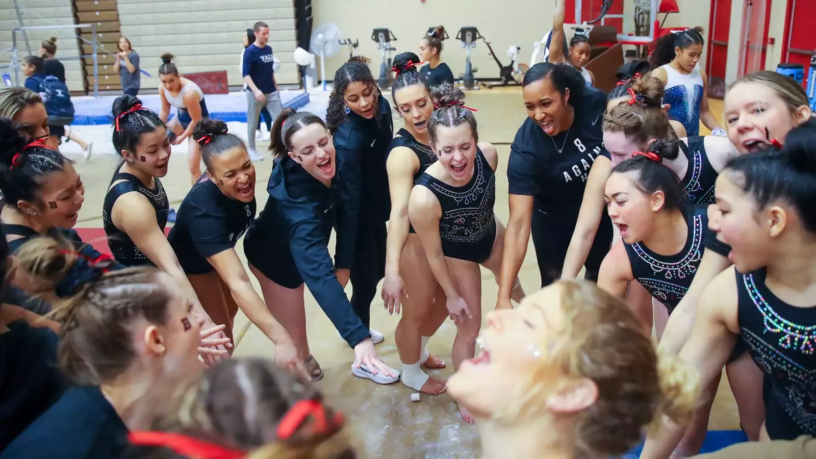 Gymnastics Introduces Tim Levandowski as New Assistant Coach - Brown ...