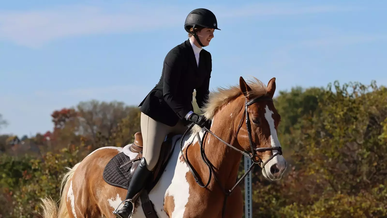 Equestrian Finishes Season With Strong Showing at Ivy Show - Brown ...