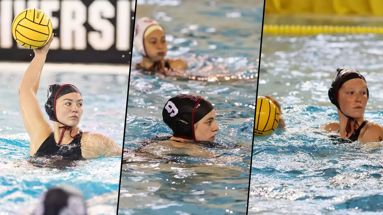 Three Bears earn ACWPC All-America Honorable Mention - Brown University ...