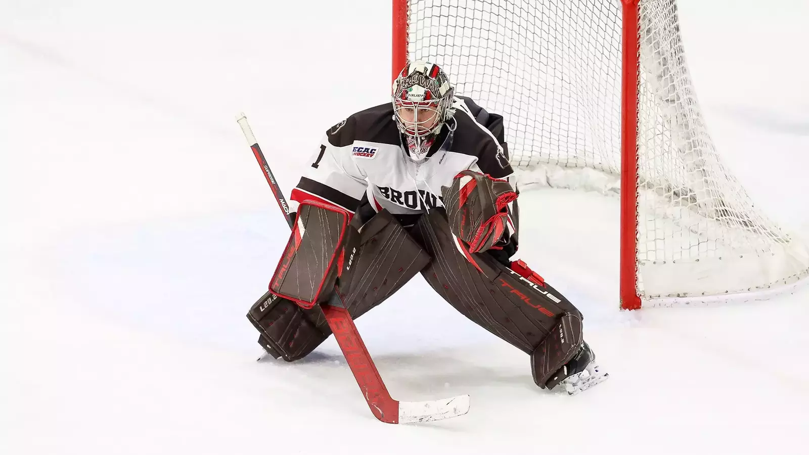 Lawton Zacher Named ECAC Goalie of the Week - Brown University Athletics