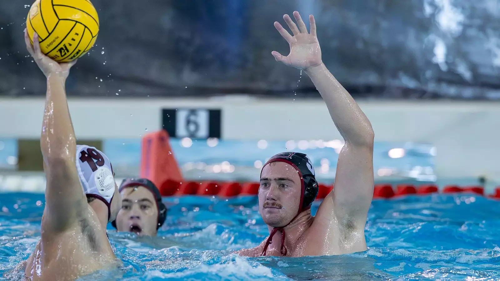 Ilias Stothart Named to the Men's Cutino Award Watch List - Brown ...