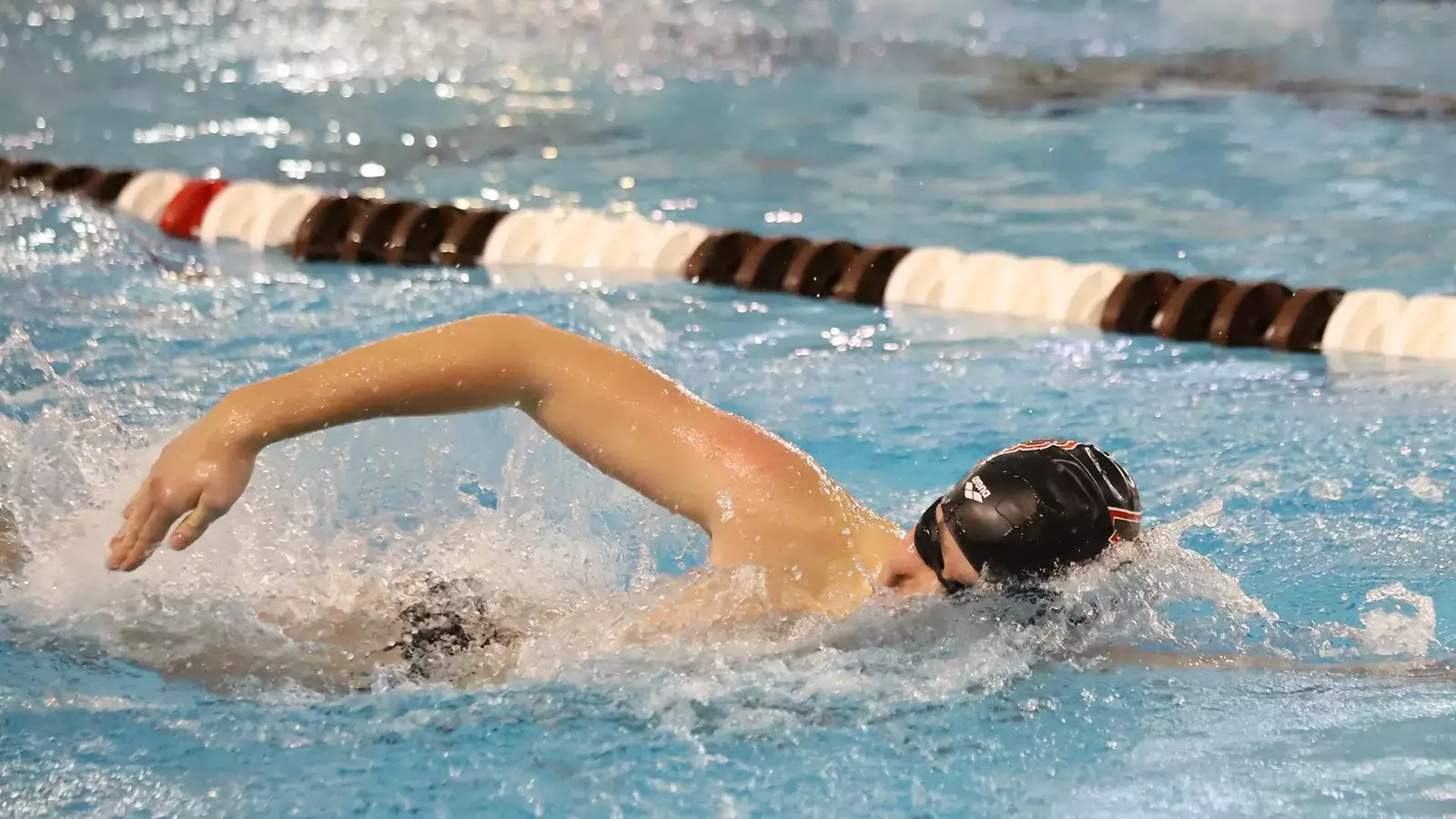 Two More Records Fall for Men's Swim & Dive on Day Three of Bruno ...