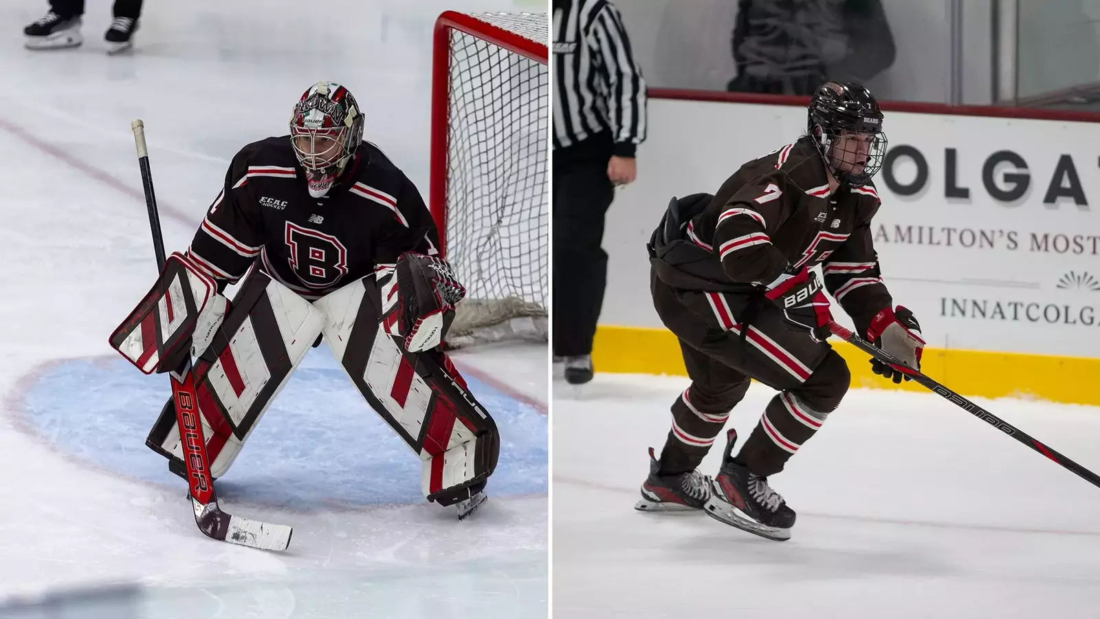 Zacher and Gollob Pick Up ECAC Weekly Honors - Brown University Athletics