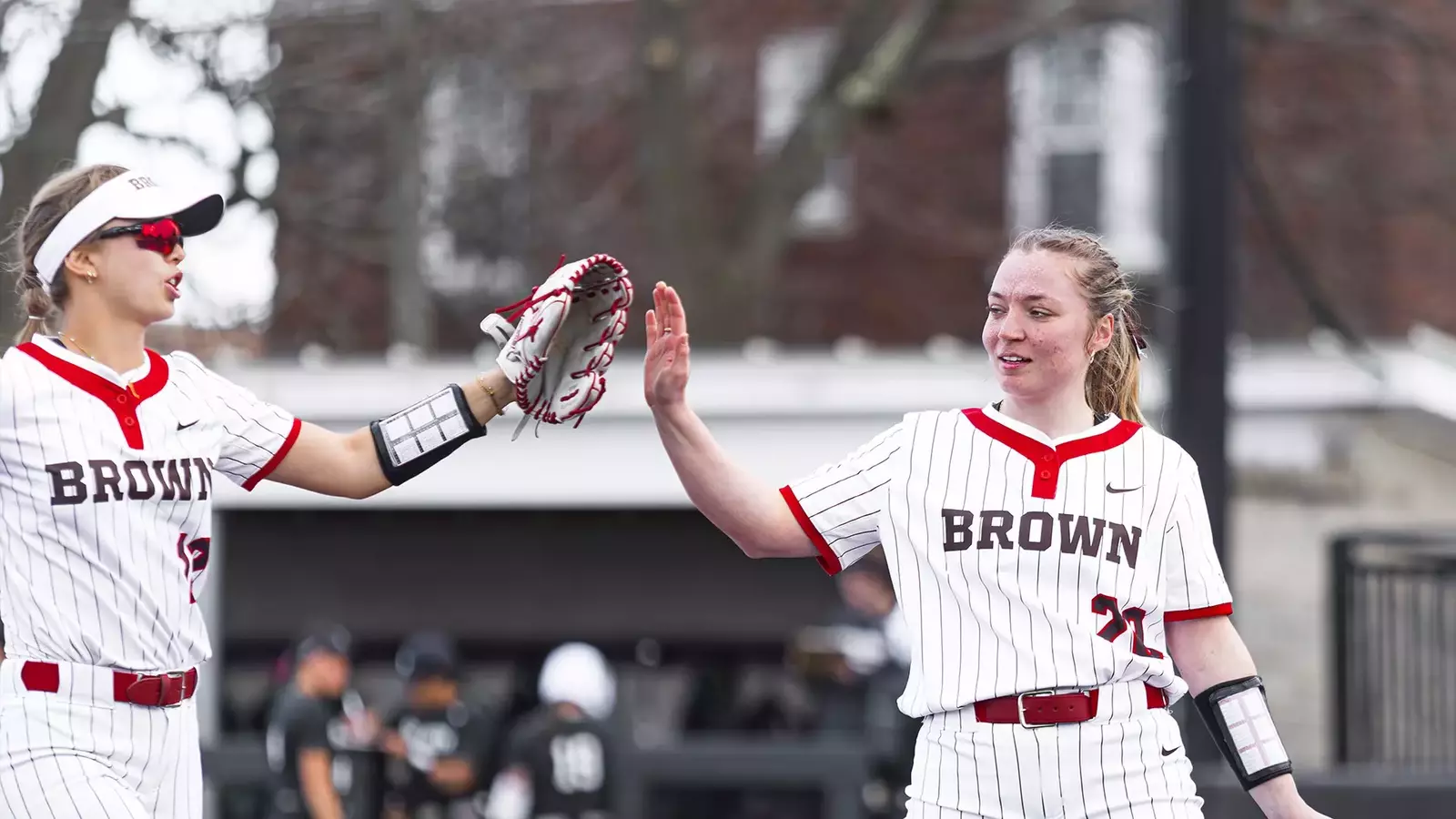 Softball Travels to Penn For Weekend Series - Brown University Athletics