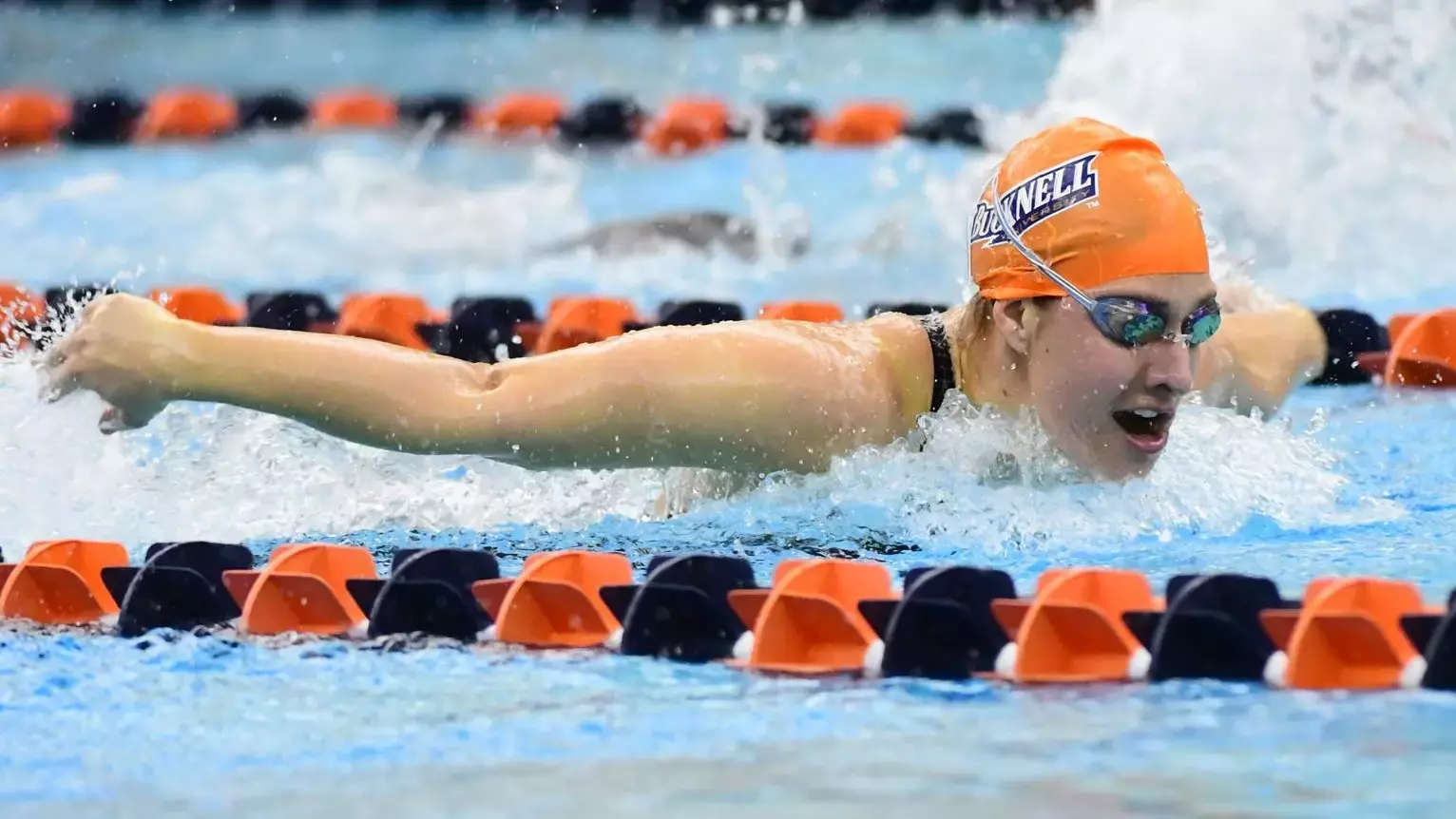 Bucknell University