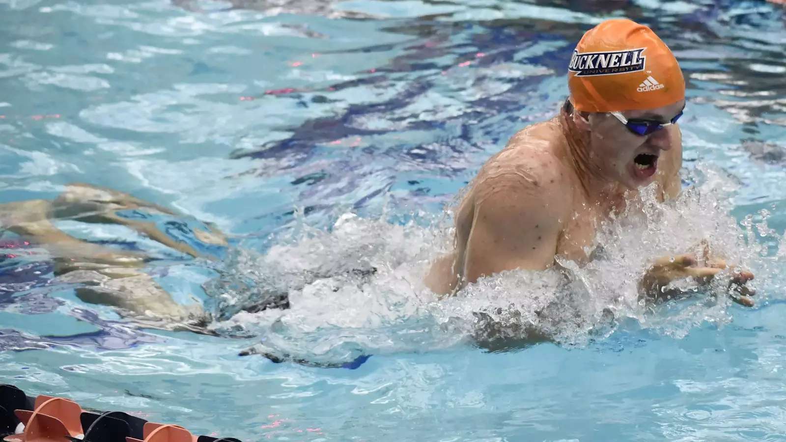 Bucknell University