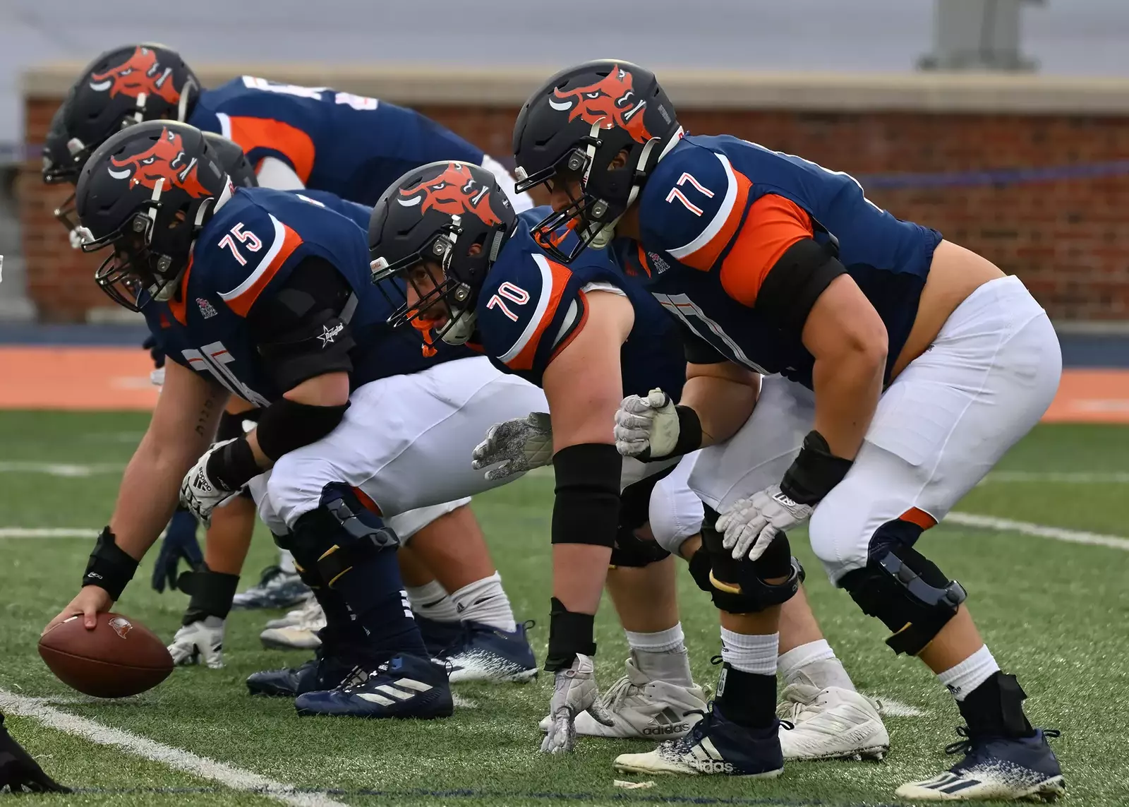 Bucknell University