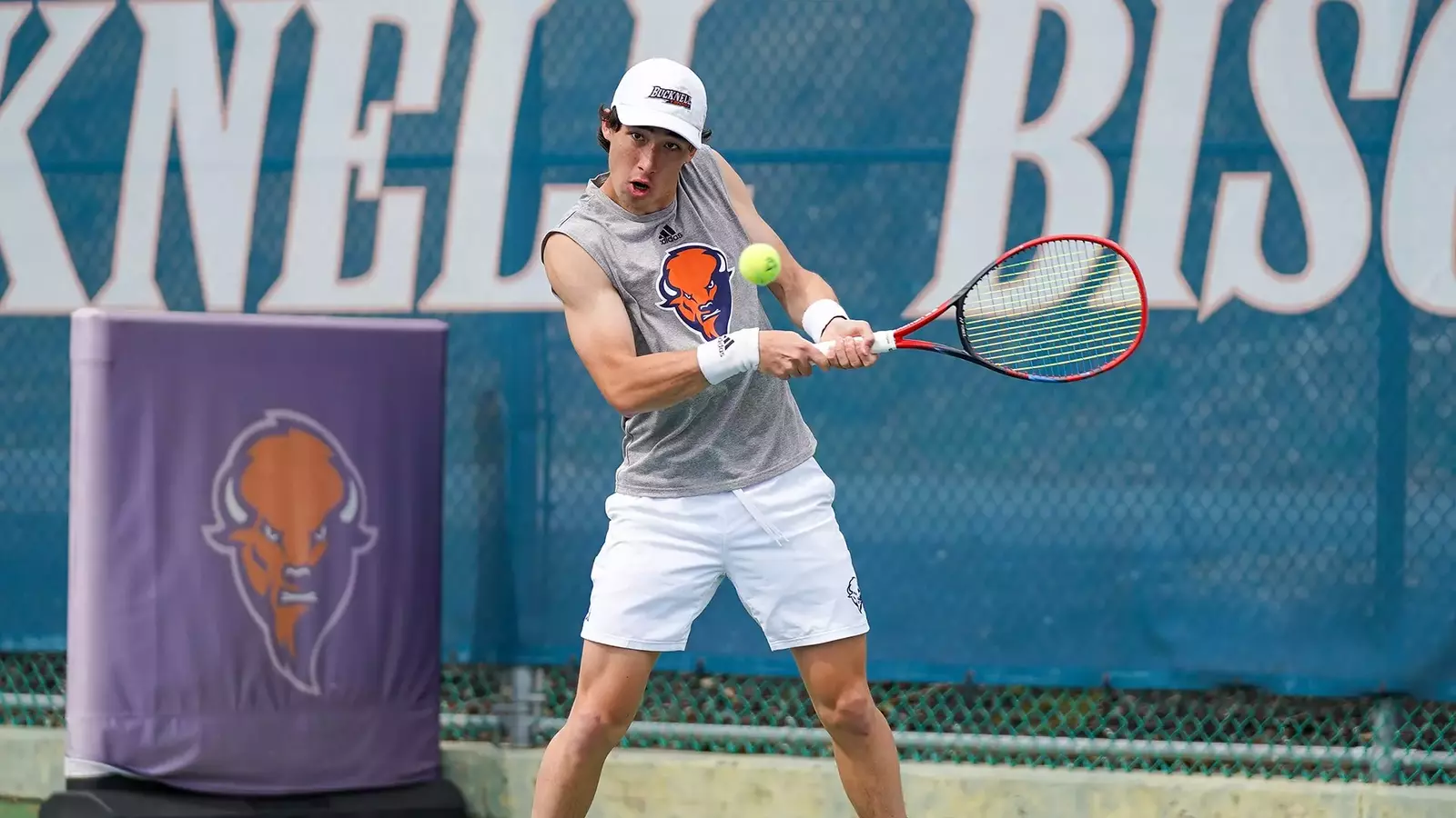 Bucknell University
