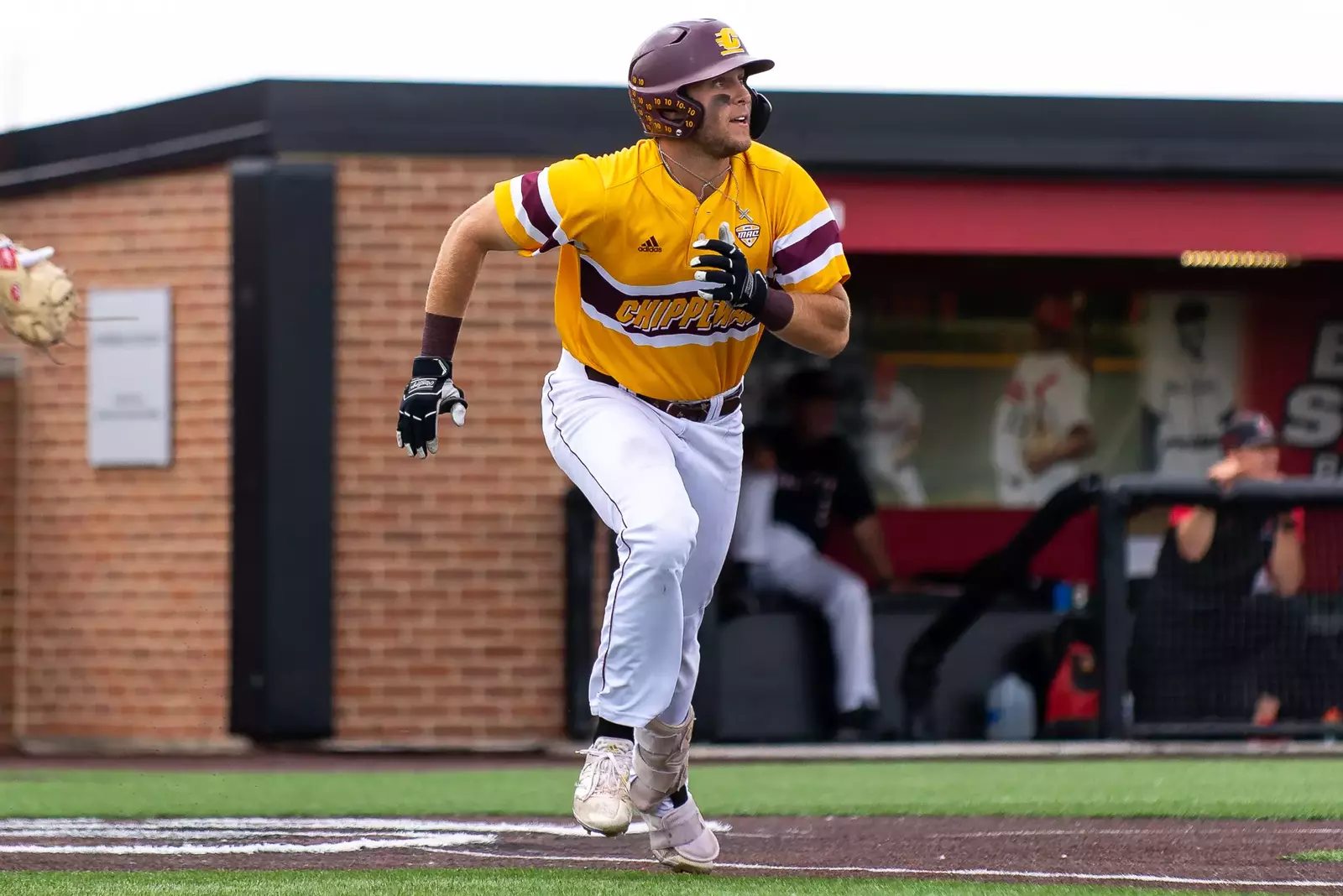 Central Michigan University