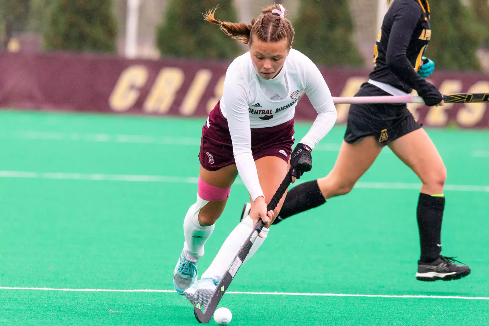 Central Michigan University