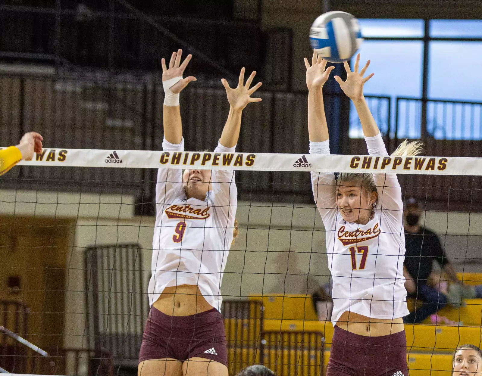 Central Michigan University