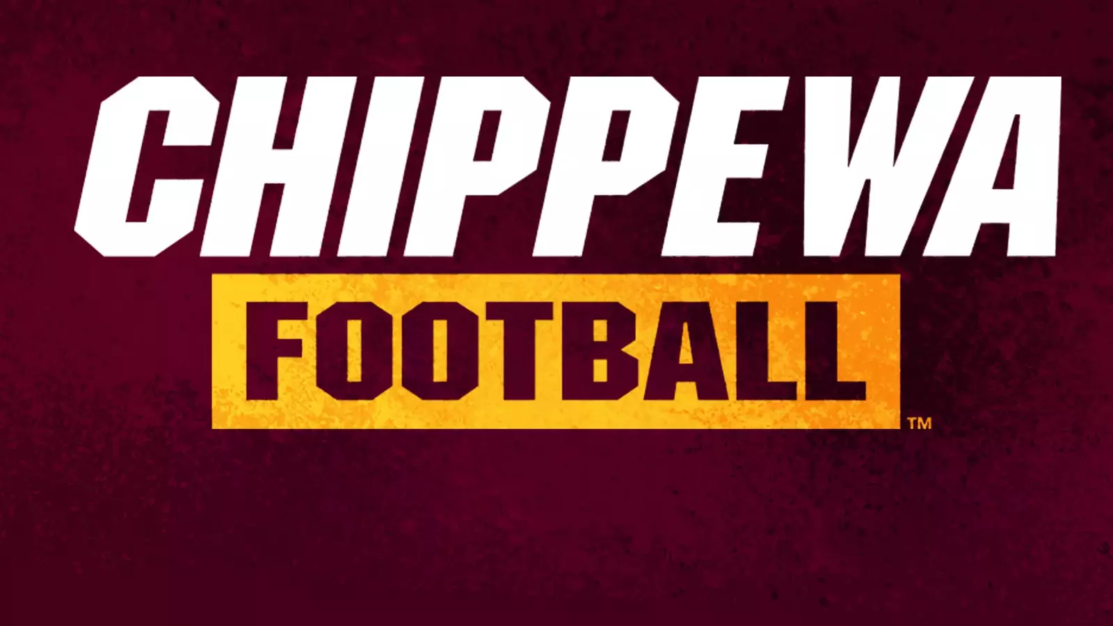 Central Michigan University