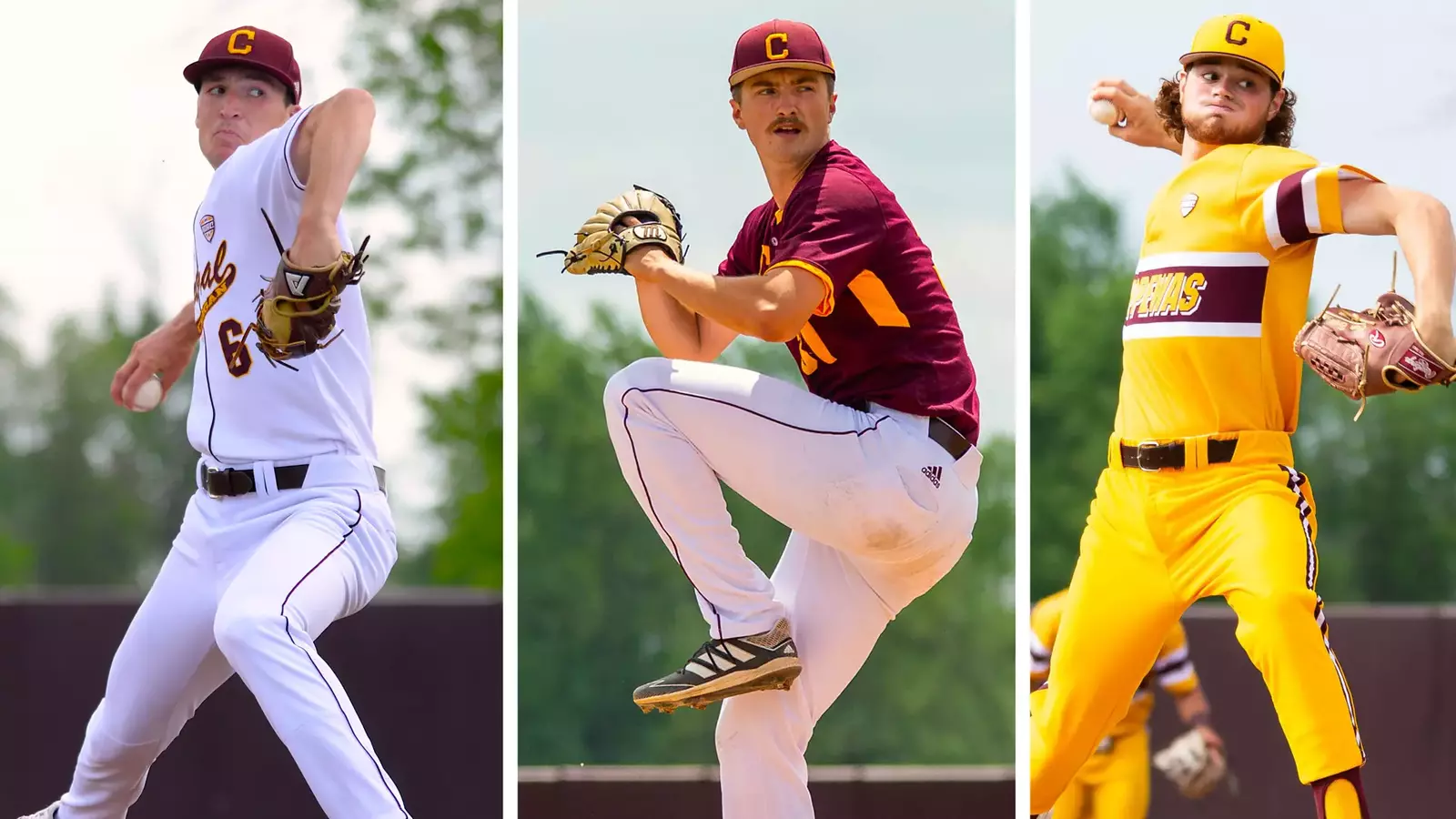 Central Michigan University