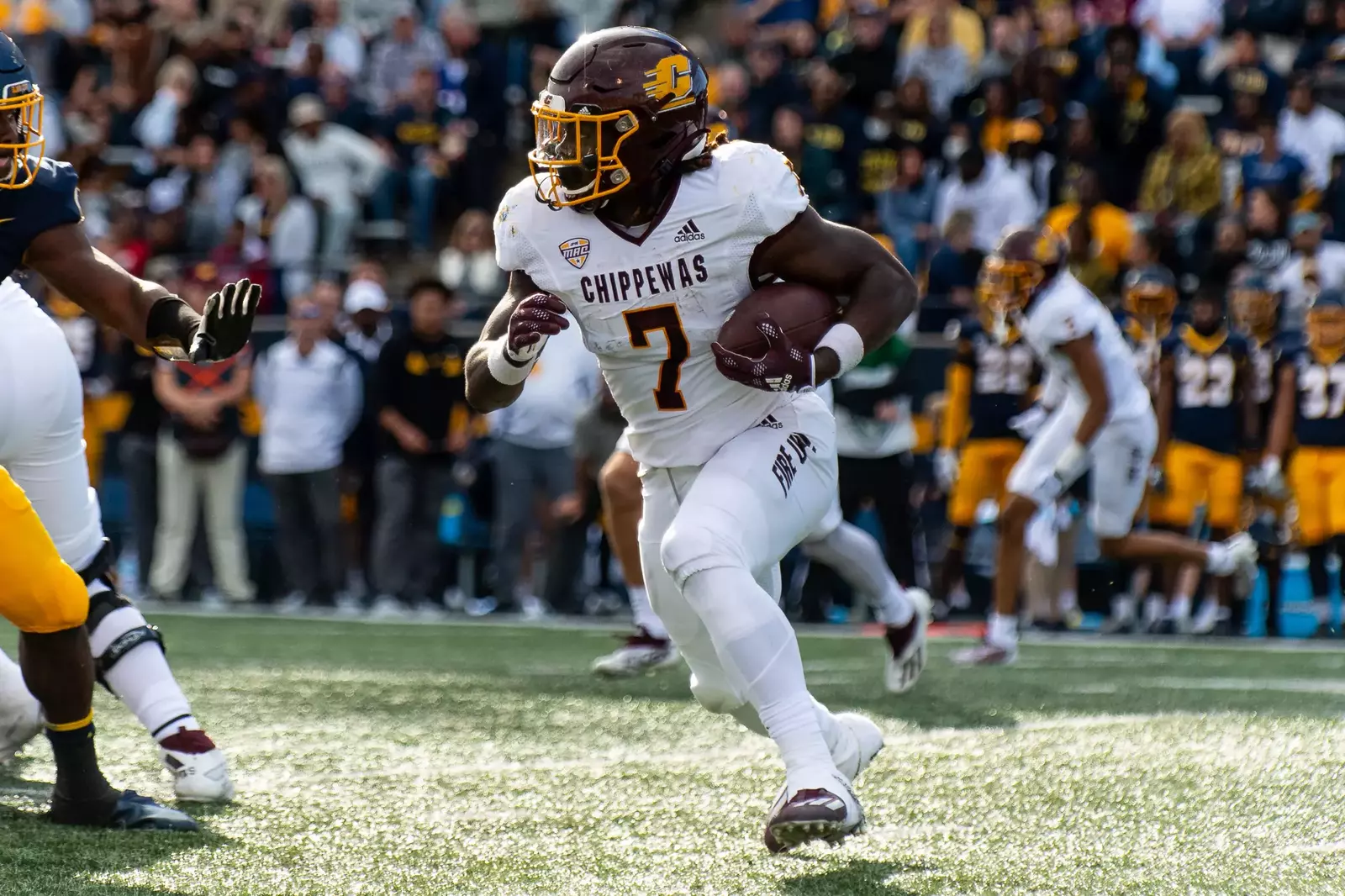 Central Michigan University