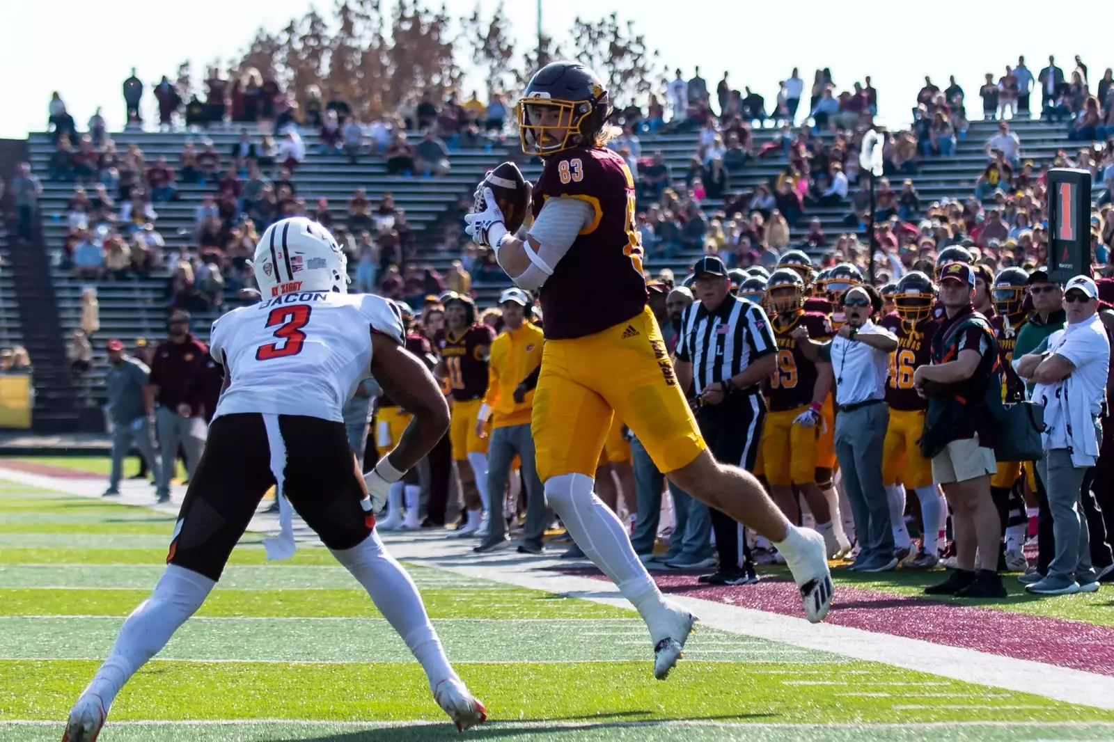 Central Michigan University